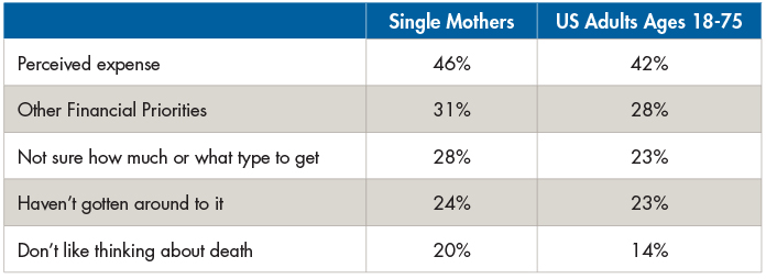 Single Mothers: A Growing, Yet Often Overlooked Market Segment